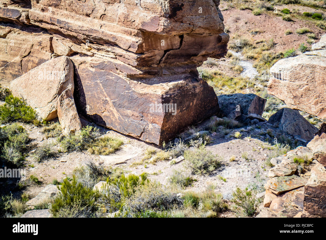 Petrified rocks in Petrified Forest National Park, Arizona Stock Photo ...