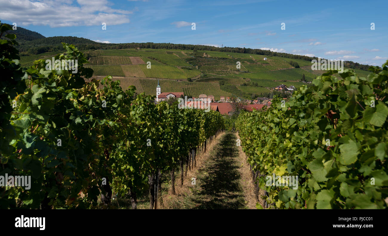 Barr alsace hi-res stock photography and images - Alamy