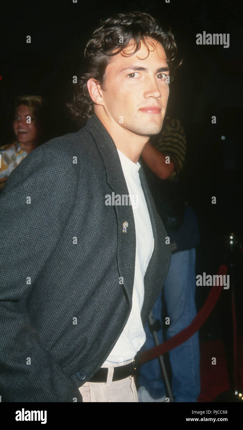HOLLYWOOD, CA - SEPTEMBER 10: Actor Andrew Shue attends Warner Bros ...