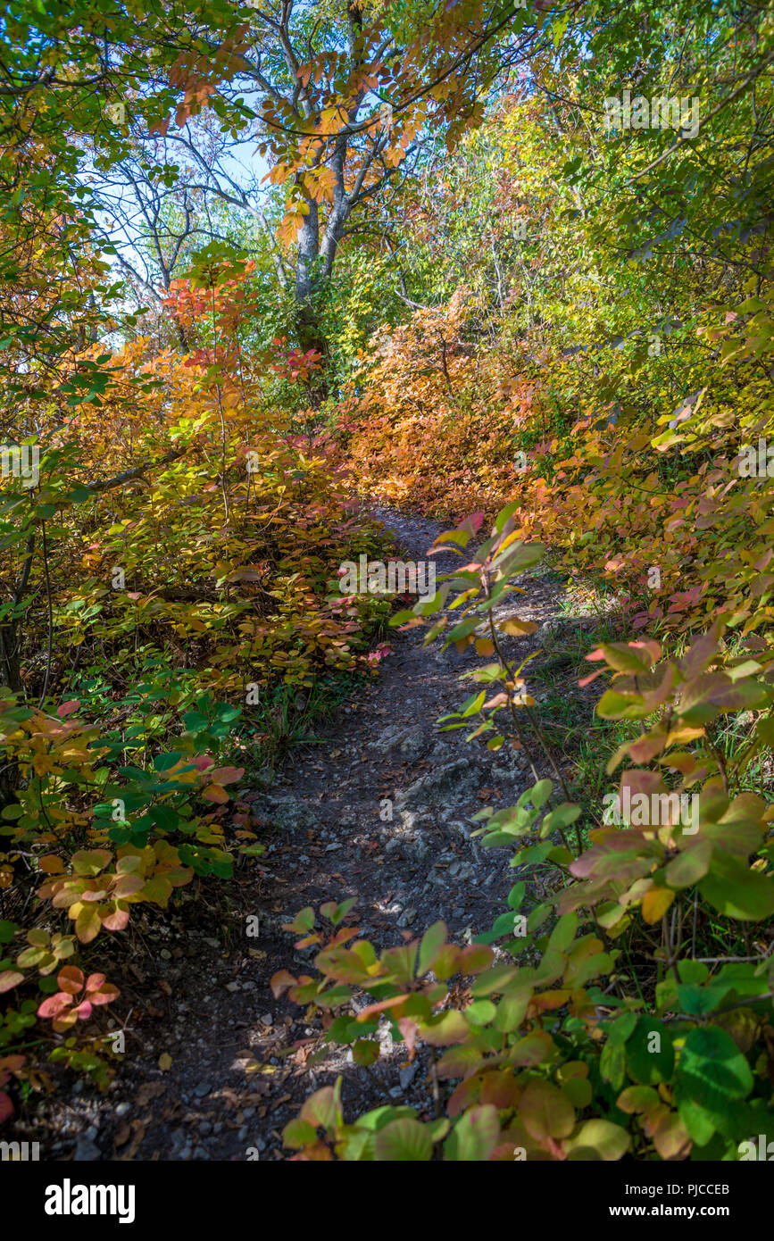 Colorful environment hi-res stock photography and images - Alamy