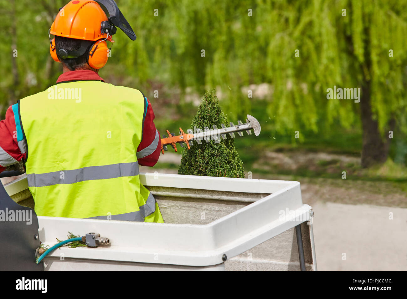 Equiped worker pruning a tree on a crane. Gardening works Stock Photo ...