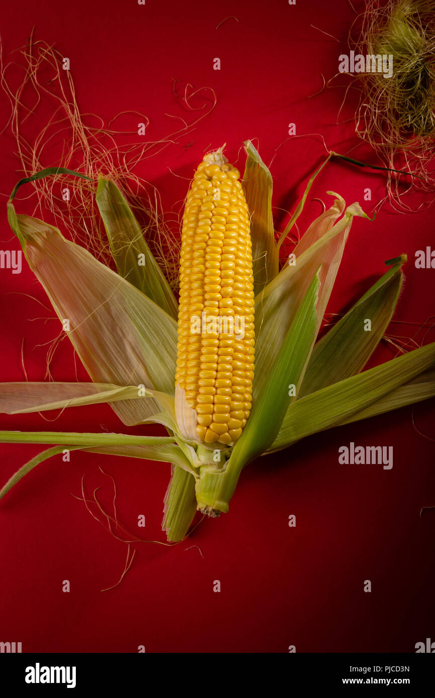 One raw corn cob Stock Photo - Alamy