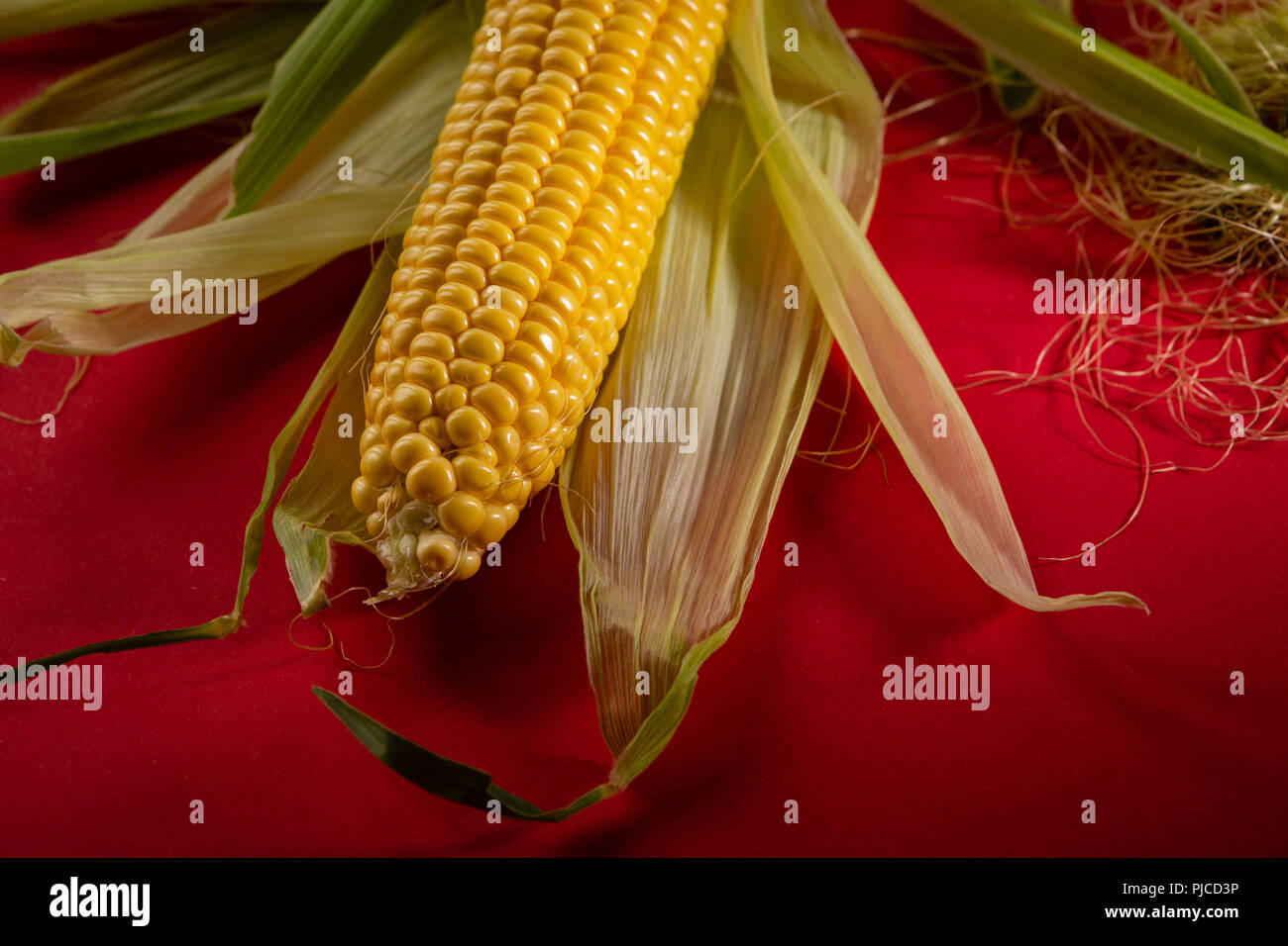 One uncooked corn cob Stock Photo - Alamy