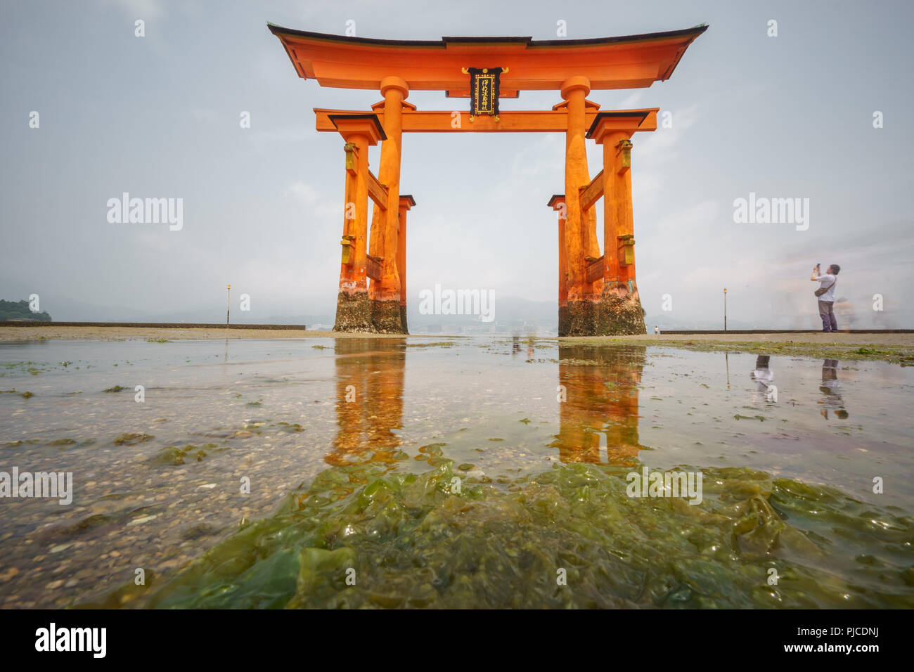 Torii gate, low tide with reflection Stock Photo - Alamy