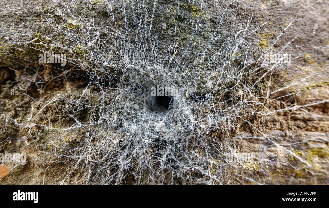 Spiderweb over stone wall with hole Stock Photo - Alamy