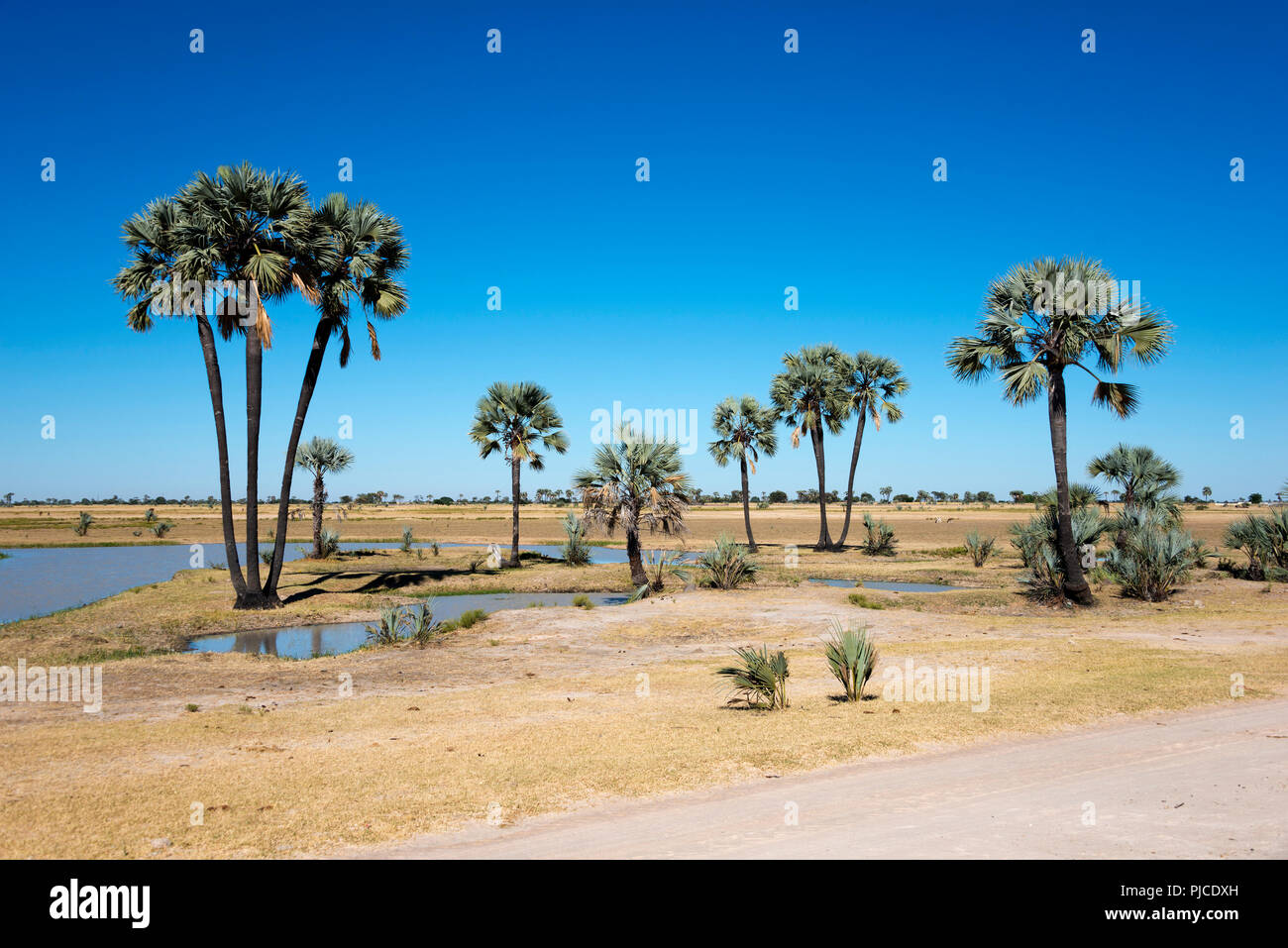Oshakati High Resolution Stock Photography and Images - Alamy