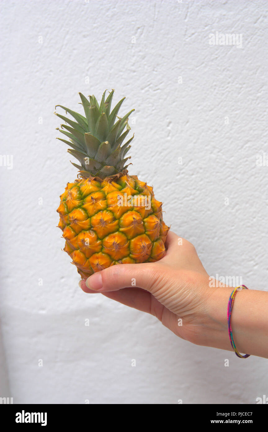 Pineapple held by the right hand of a young woman, the background is ...