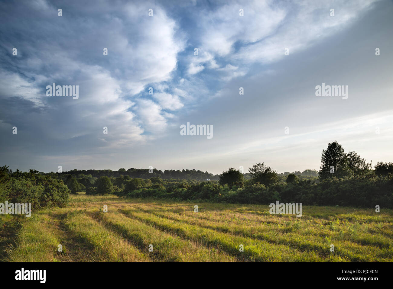 Ashdown formation hi-res stock photography and images - Alamy