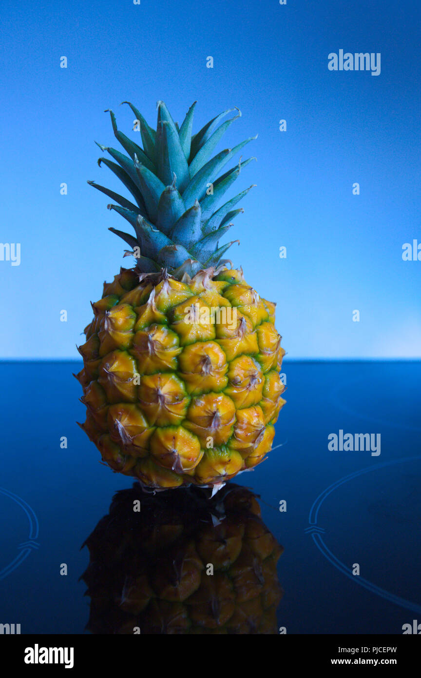 A ripe tropical pineapple with blue gradient background Stock Photo - Alamy