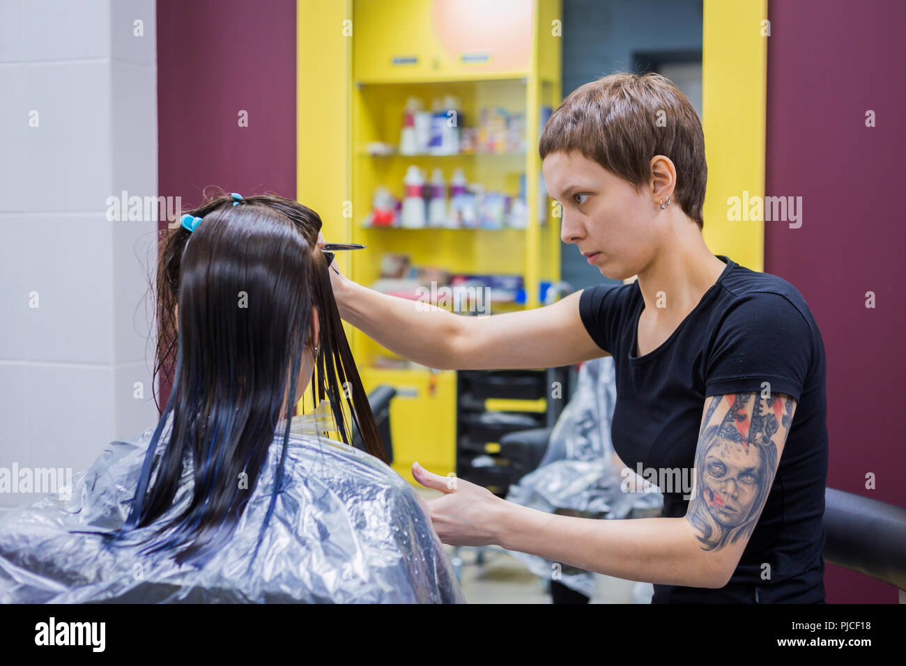 Hairdresser cutting hair hi-res stock photography and images - Alamy