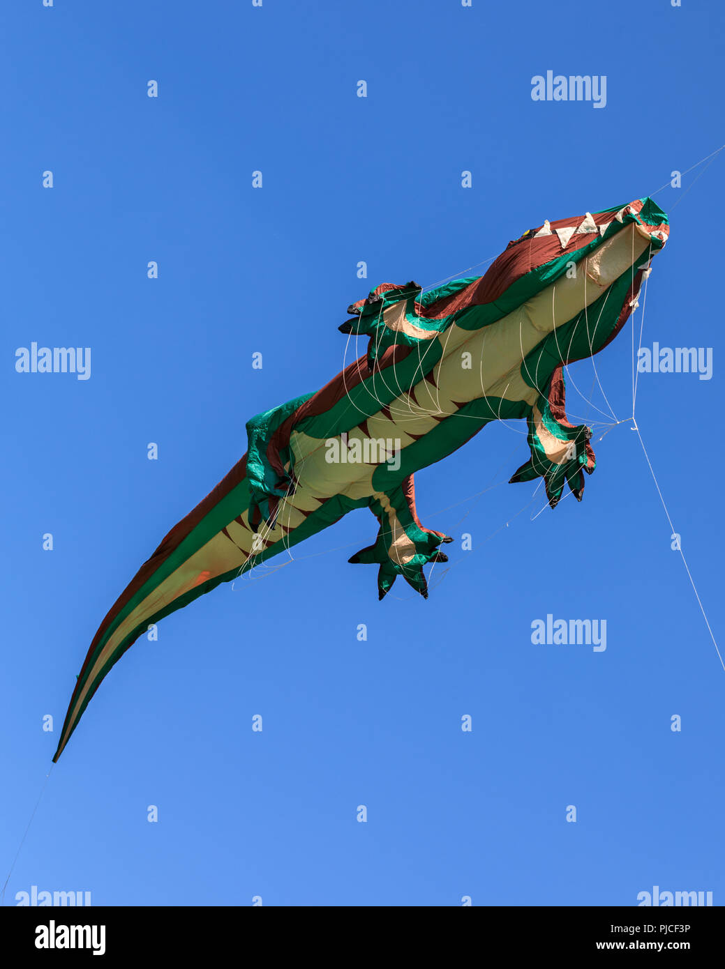 Flying crocodile hi-res stock photography and images - Alamy