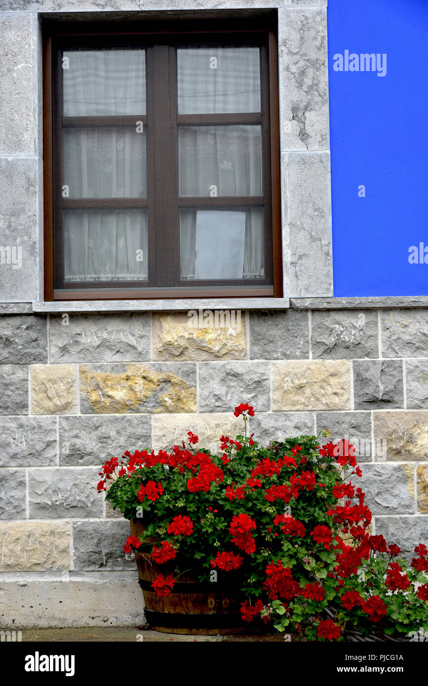 window with flowers in classical facade Stock Photo - Alamy
