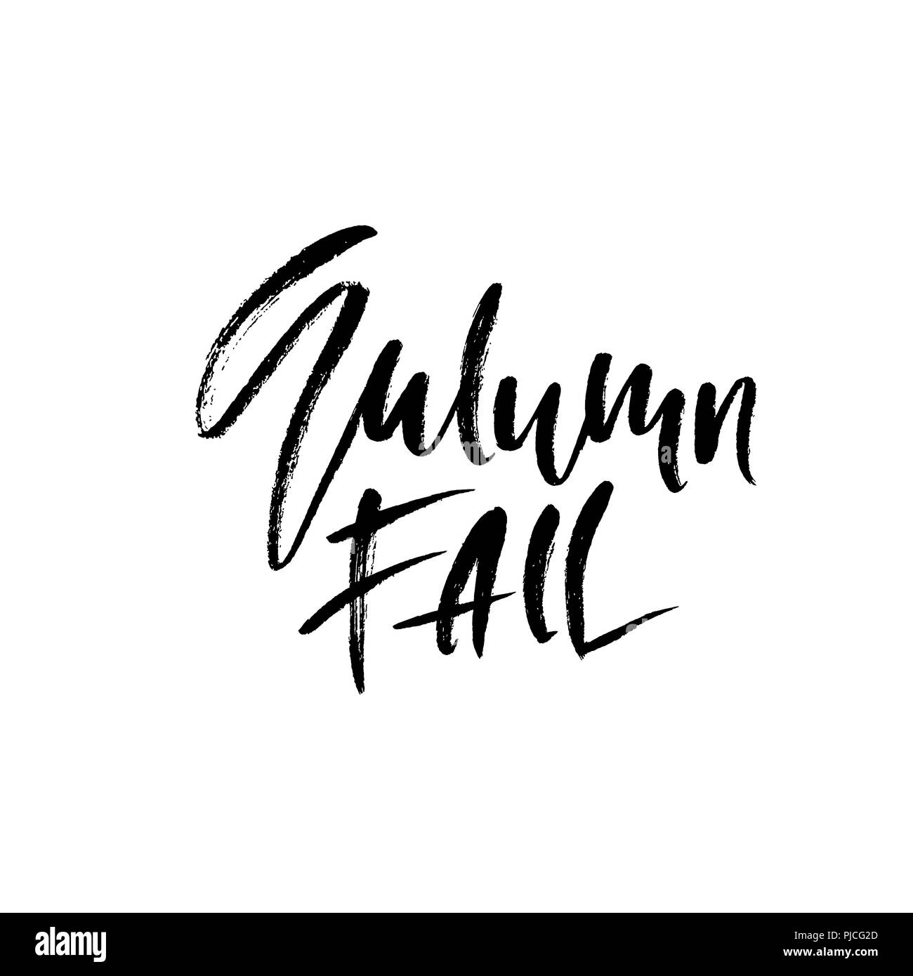 Autumn fall modern brush lettering isolated on white background. Vector ...
