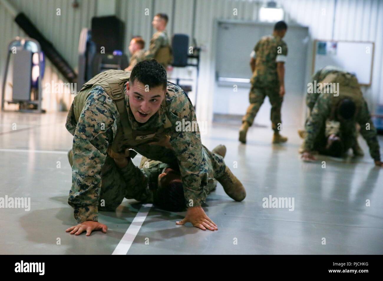 Army physical conditioning hi-res stock photography and images - Alamy