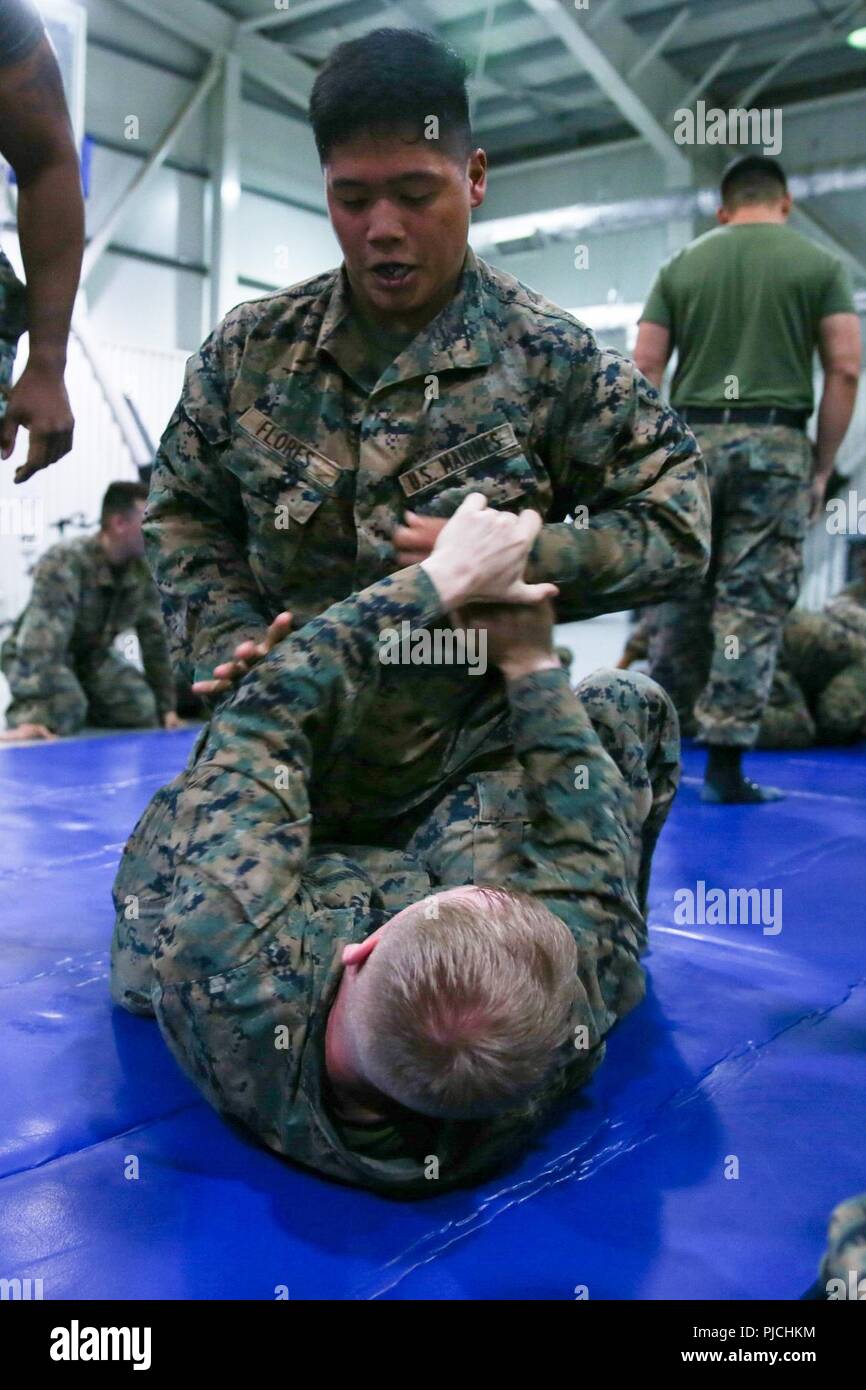 U.S. Marines with Black Sea Rotational Force 18.1 participate in ...