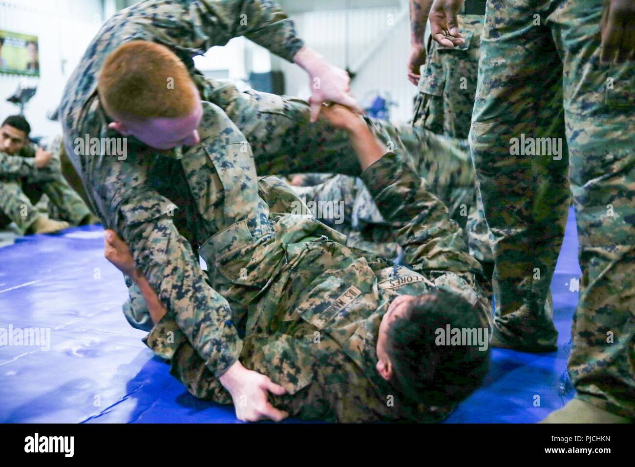 U.S. Marines with Black Sea Rotational Force 18.1 participate in ...