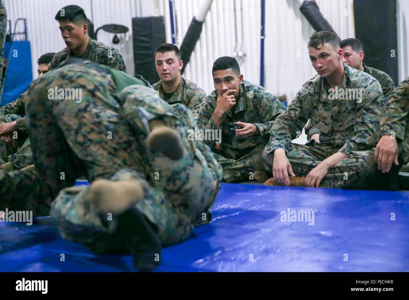 U.S. Marines with Black Sea Rotational Force 18.1 participate in ...