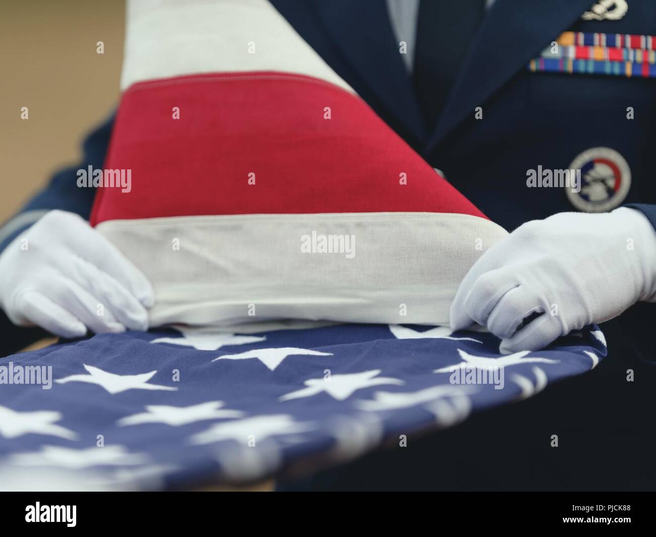 Kin wing hi-res stock photography and images - Alamy