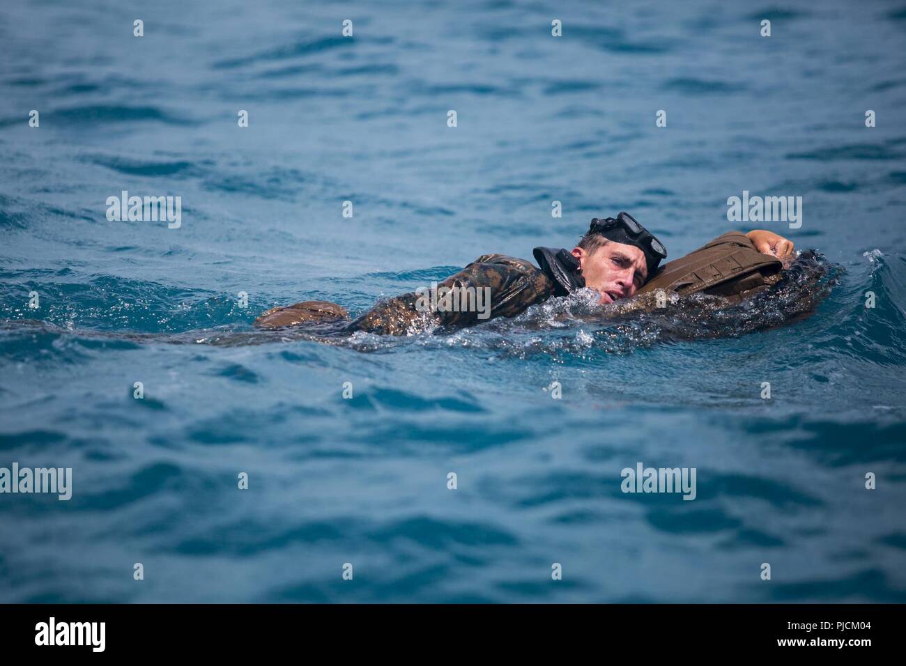 Sgt. Thomas Sargent swims two kilometers during a scout swimmers course ...