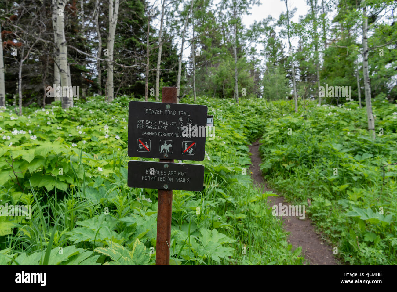 Beaver Pond Trailhead Sign in Glacier during early summer Stock Photo ...