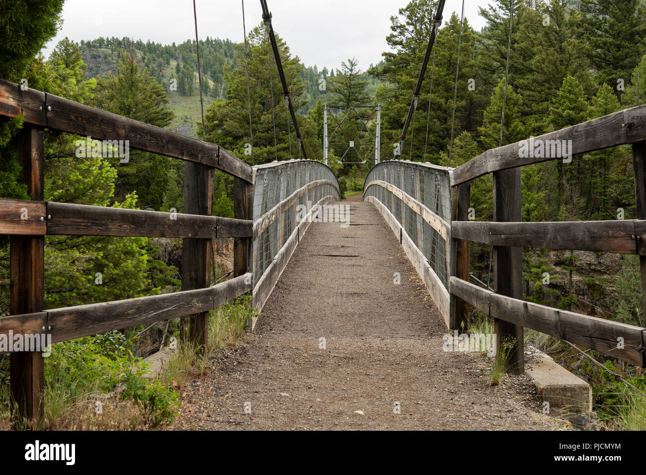 Bridge Over Hellroaring Creek in Yellowstone wilderness Stock Photo - Alamy