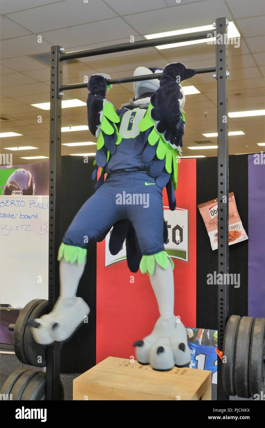 Nfl blitz pro hi-res stock photography and images - Alamy