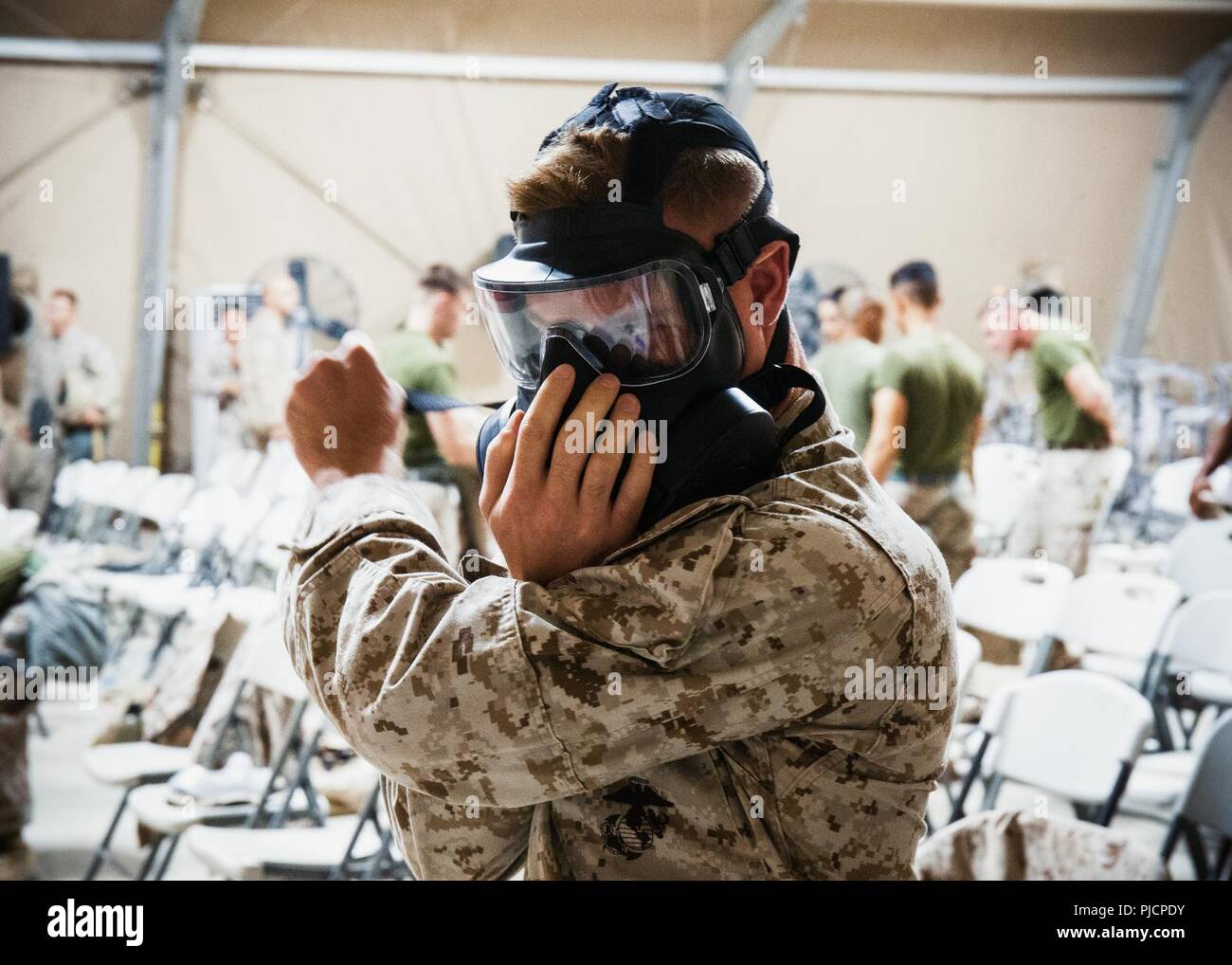 M50 gas mask hi-res stock photography and images - Alamy