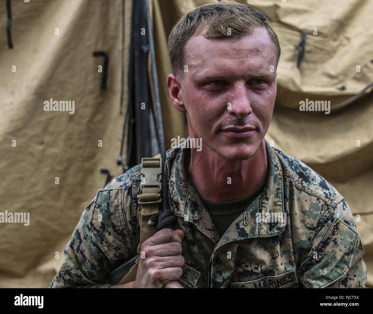 James gribble hi-res stock photography and images - Alamy