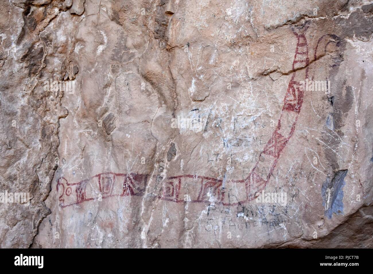 Horned serpent hi-res stock photography and images - Alamy