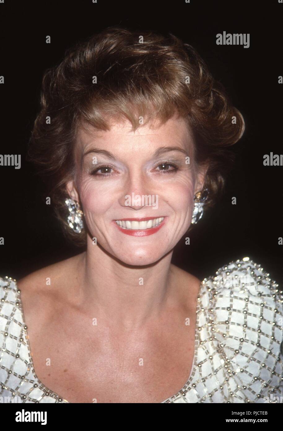 Cathy Rigby 1991 Photo By Adam Scull/PHOTOlink.net Stock Photo - Alamy