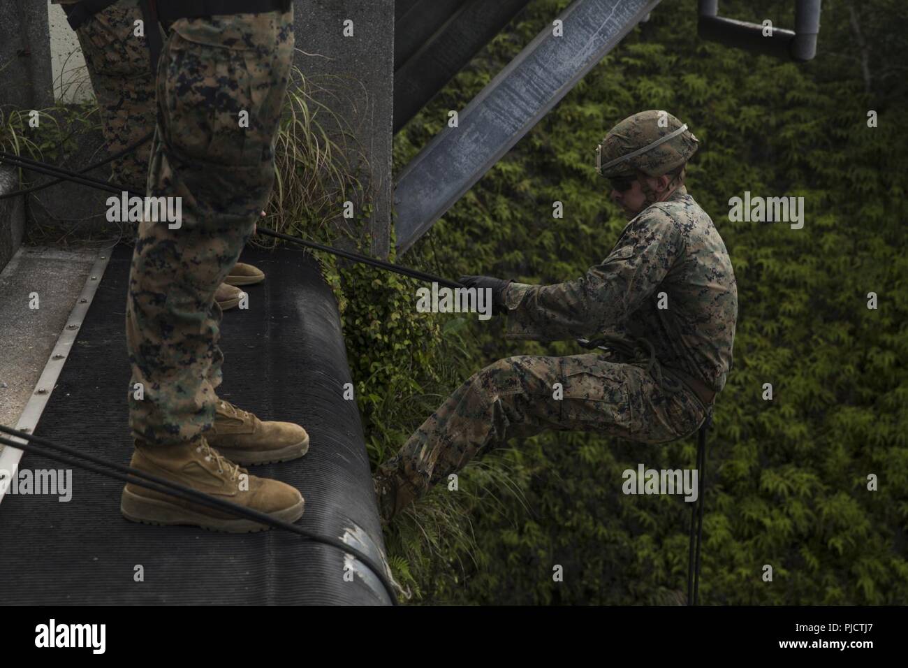 A Marine with Echo Company, Battalion Landing Team, 2nd Battalion, 5th ...
