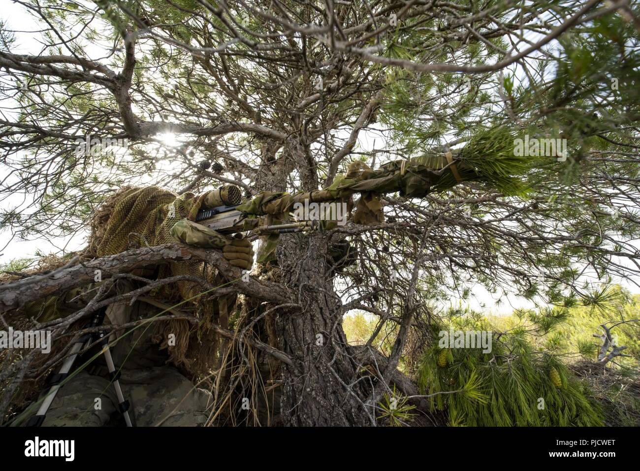An Italian sniper assigned to the 4th Alpini Regiment uses pieces of ...