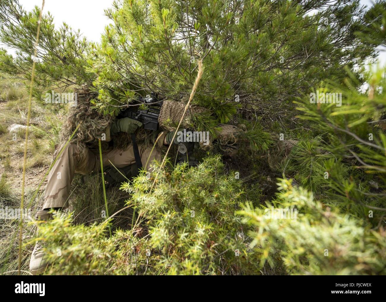 A Dutch sniper hides in a piece of vegetation July 13, 2018 on a live ...