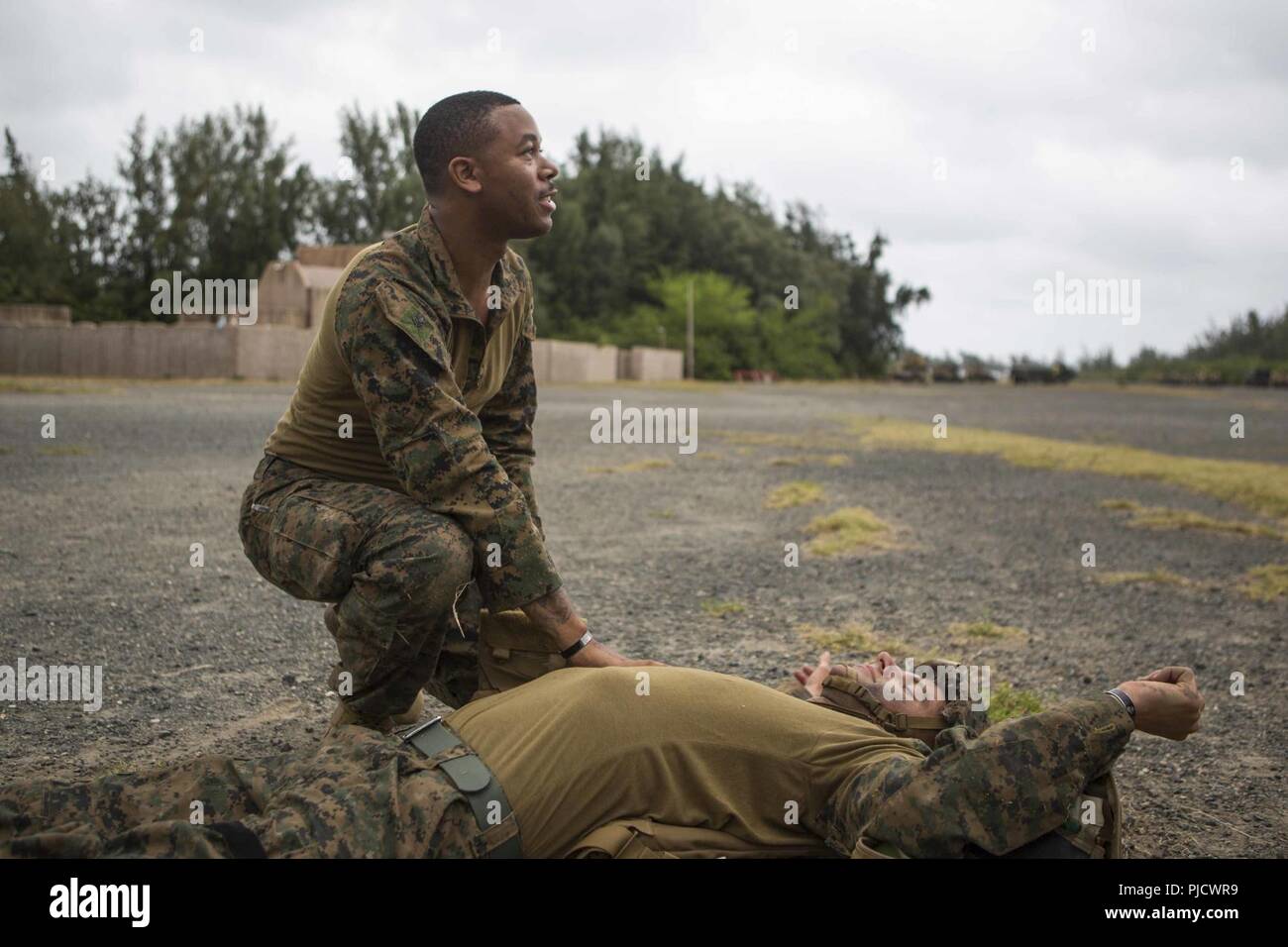 Soldier life cycle hi-res stock photography and images - Alamy