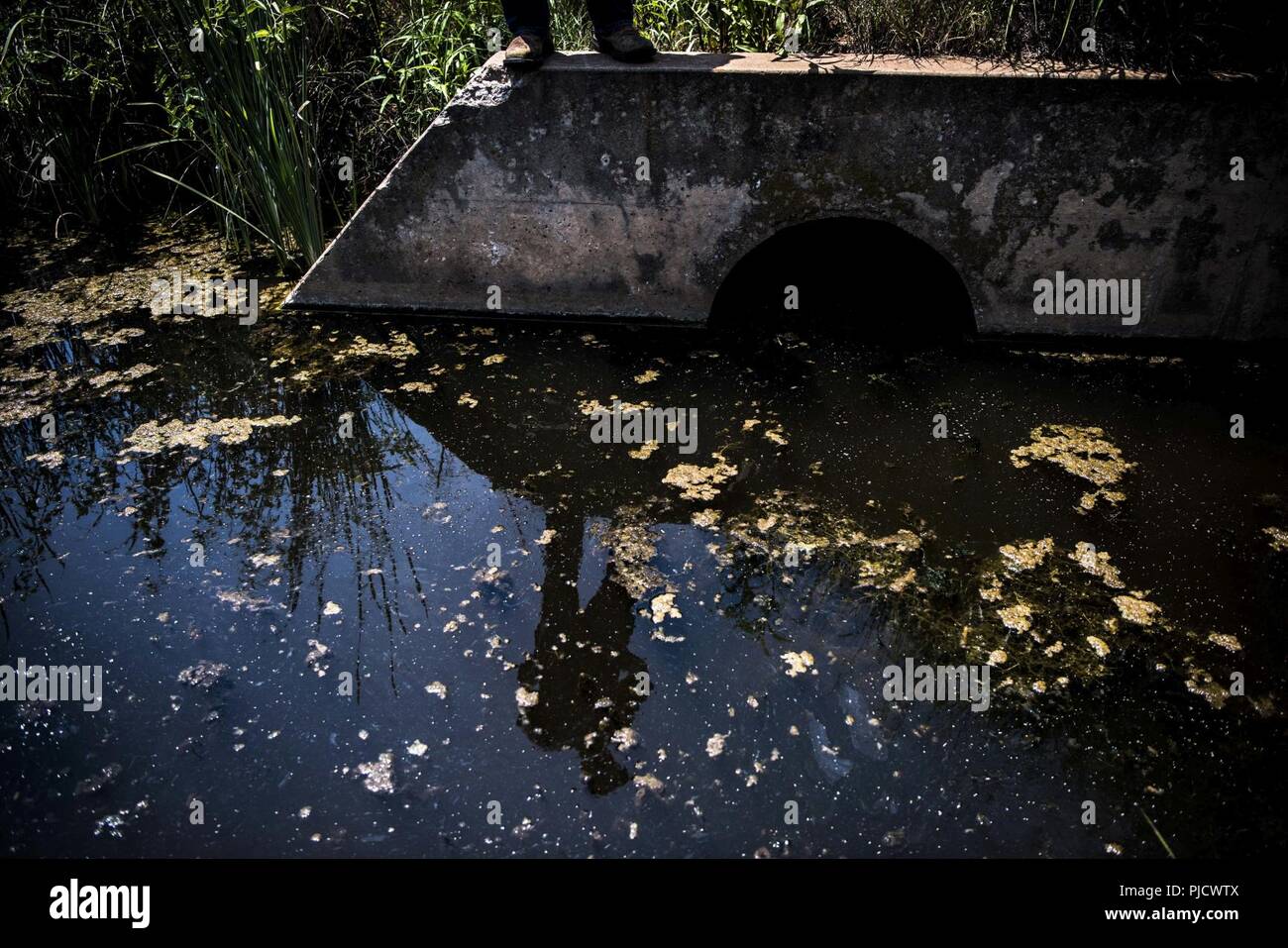 Aaron Betts, a wildlife biologist in the Vance safety office, performs ...