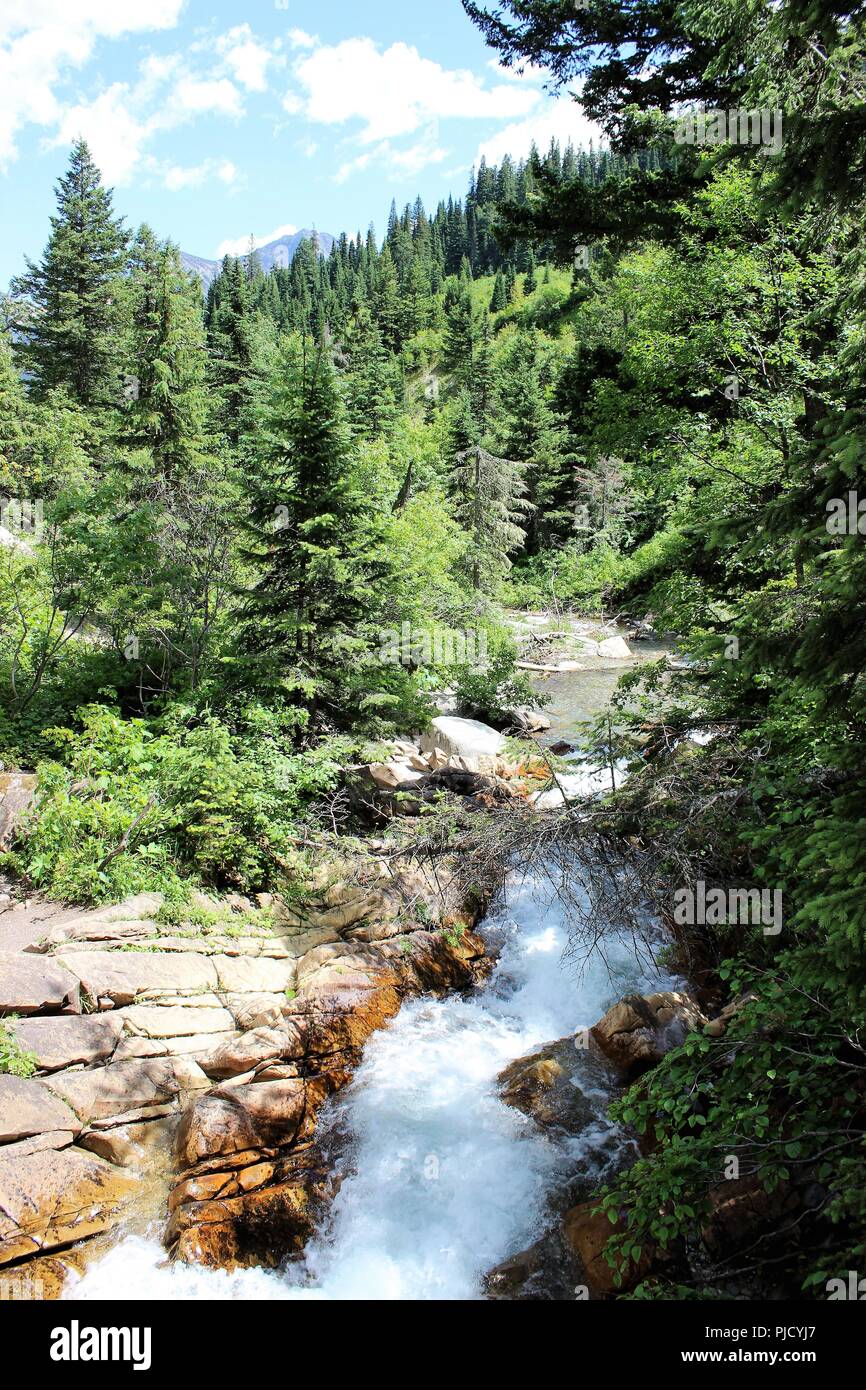 Baptism canada hi-res stock photography and images - Alamy