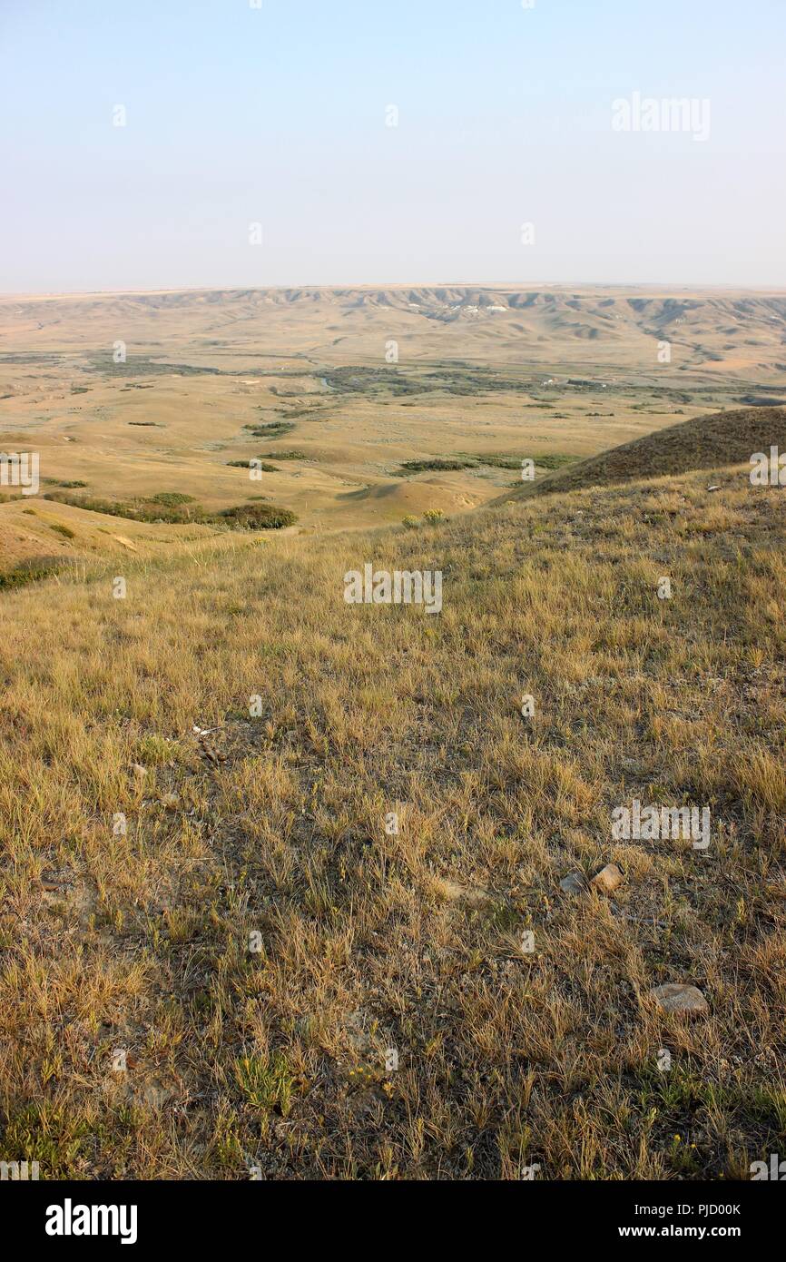 Drought prairies hi-res stock photography and images - Alamy