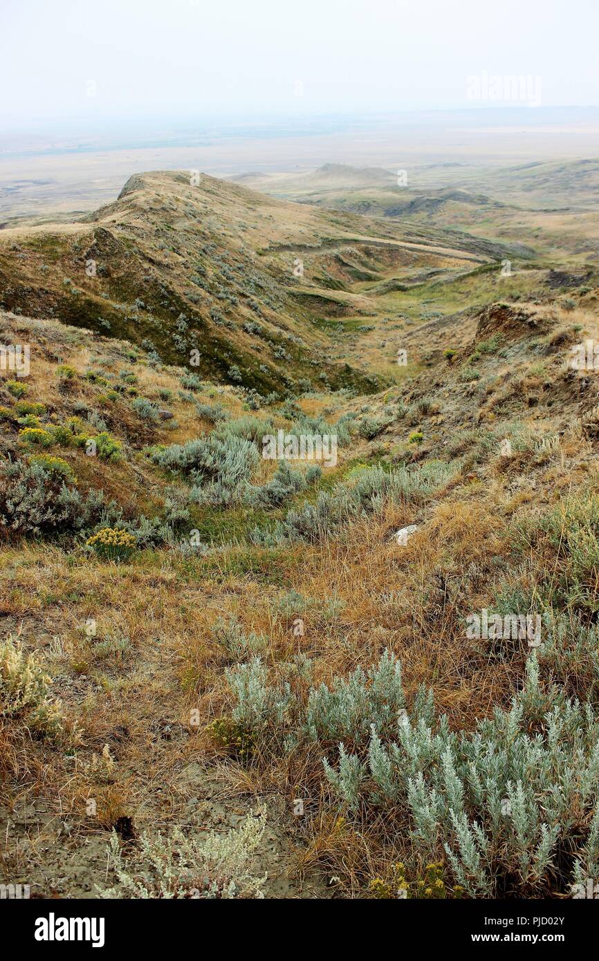 Rolling grasslands hi-res stock photography and images - Alamy