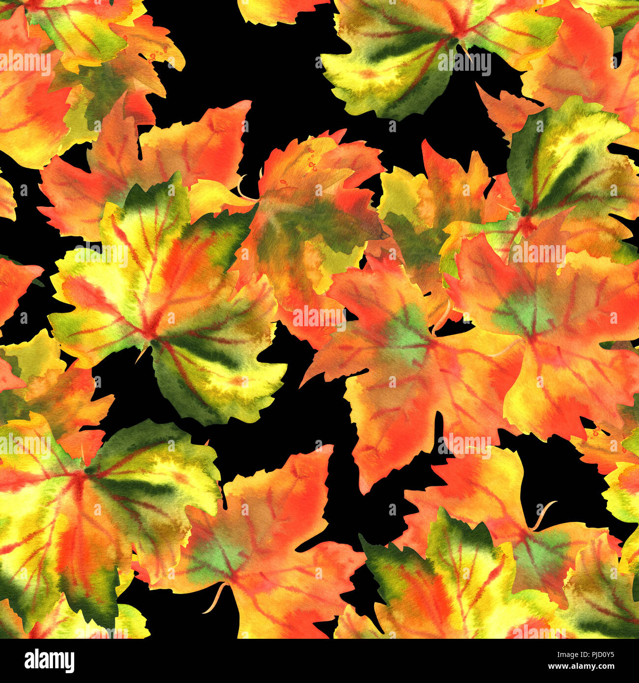 A seamless pattern of watercolour autumn grape vine leaves on a black ...