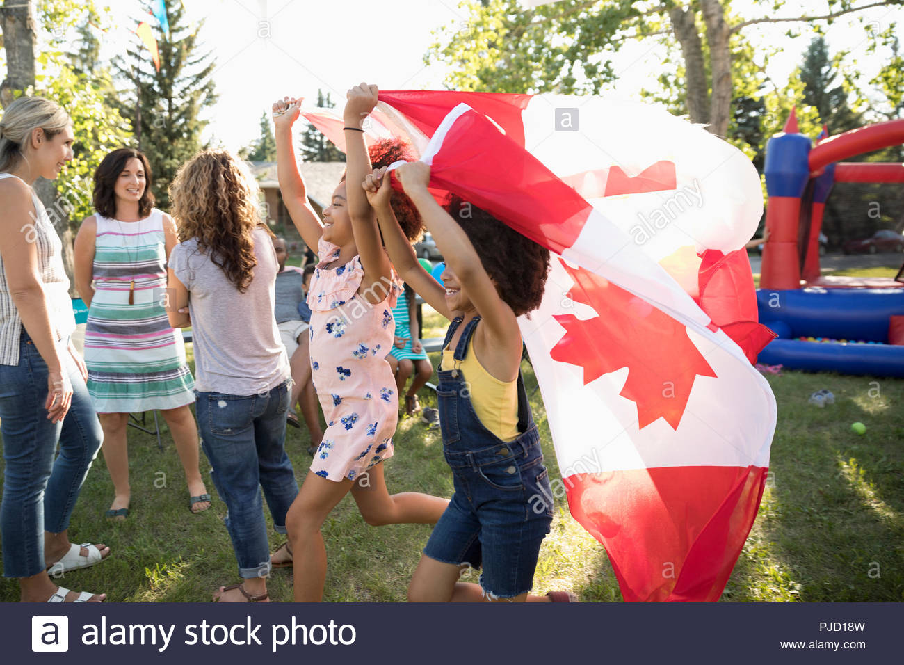 African american woman pride flag hi-res stock photography and images ...