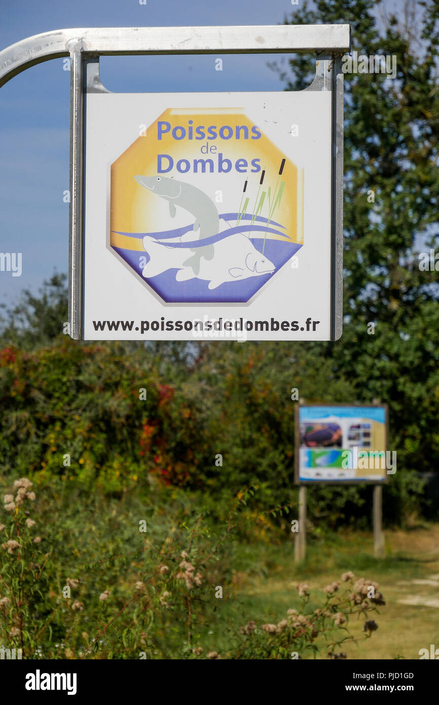 Dombes farm hi-res stock photography and images - Alamy