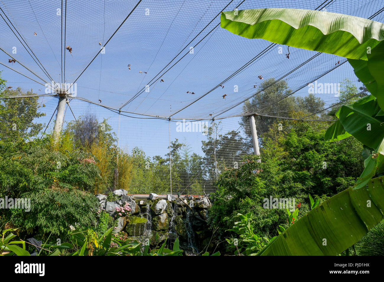 Birds belt at Birds Park, Villars Les Dombes, France Stock Photo - Alamy