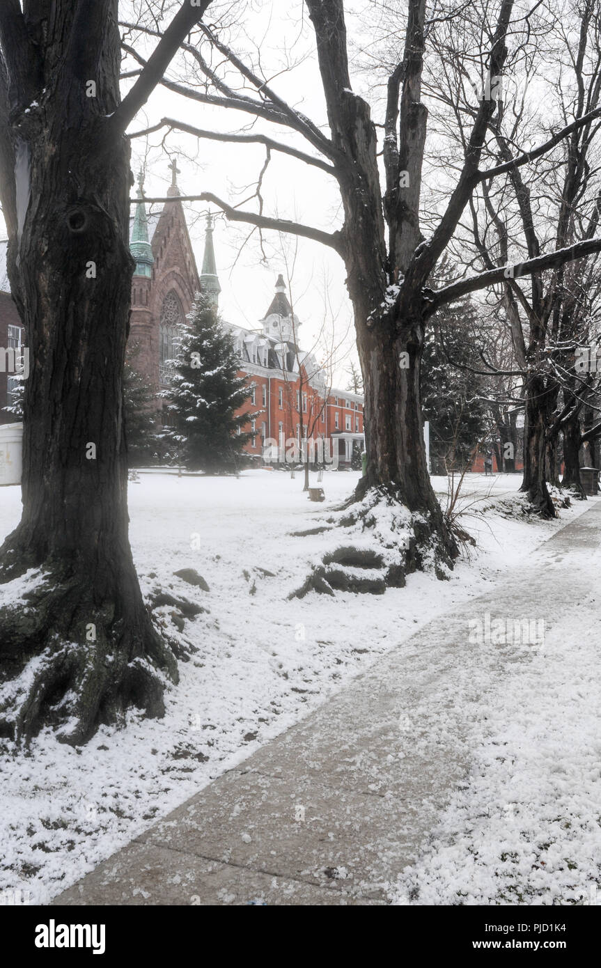 Rochester city new york winter hi-res stock photography and images - Alamy