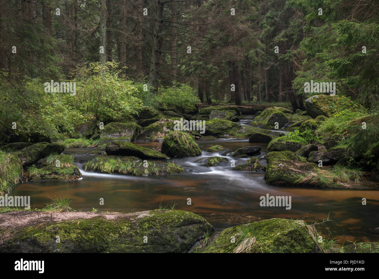 Woodland with a wild river, Höllfall, Waldviertel, Lower Austria ...