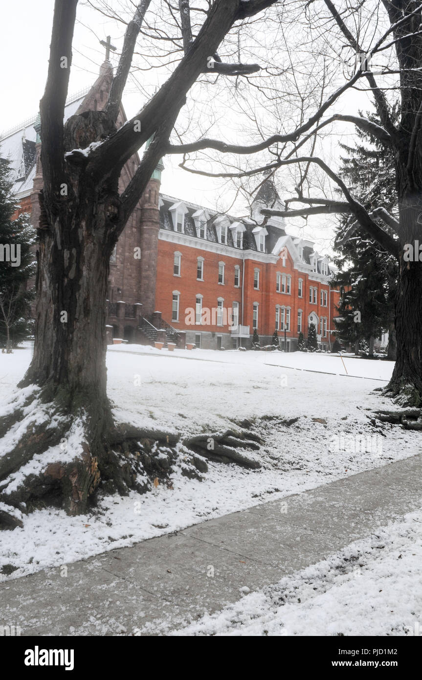 Rochester, New York USA streetscape in the winter Stock Photo - Alamy