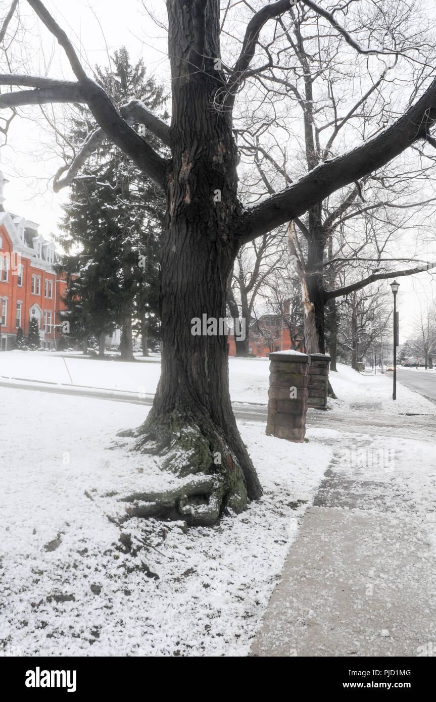 Rochester city new york winter hi-res stock photography and images - Alamy