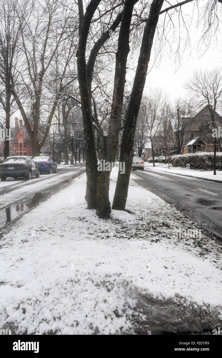 Rochester, New York USA streetscape in the winter Stock Photo - Alamy