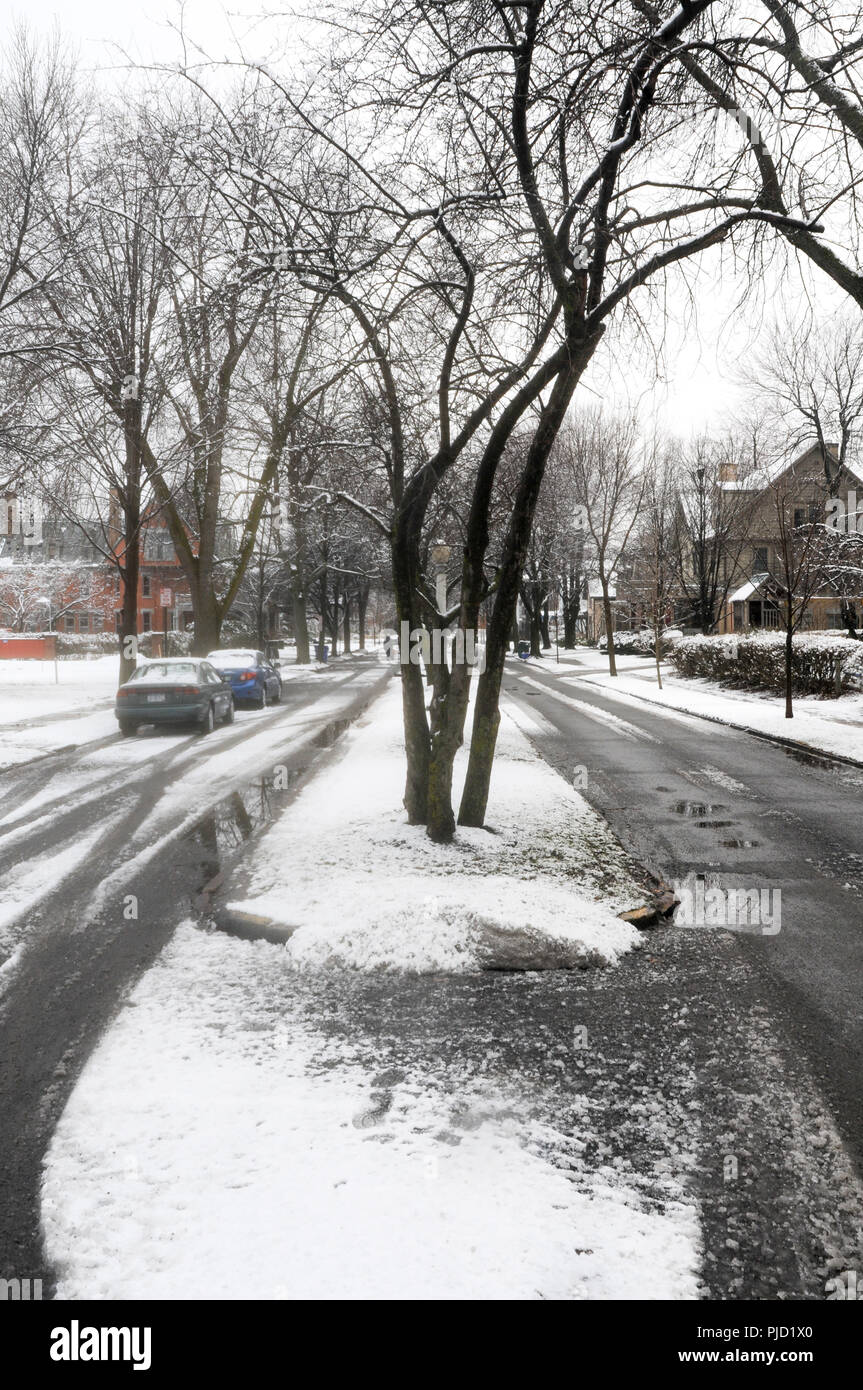 Rochester, New York USA streetscape in the winter Stock Photo - Alamy