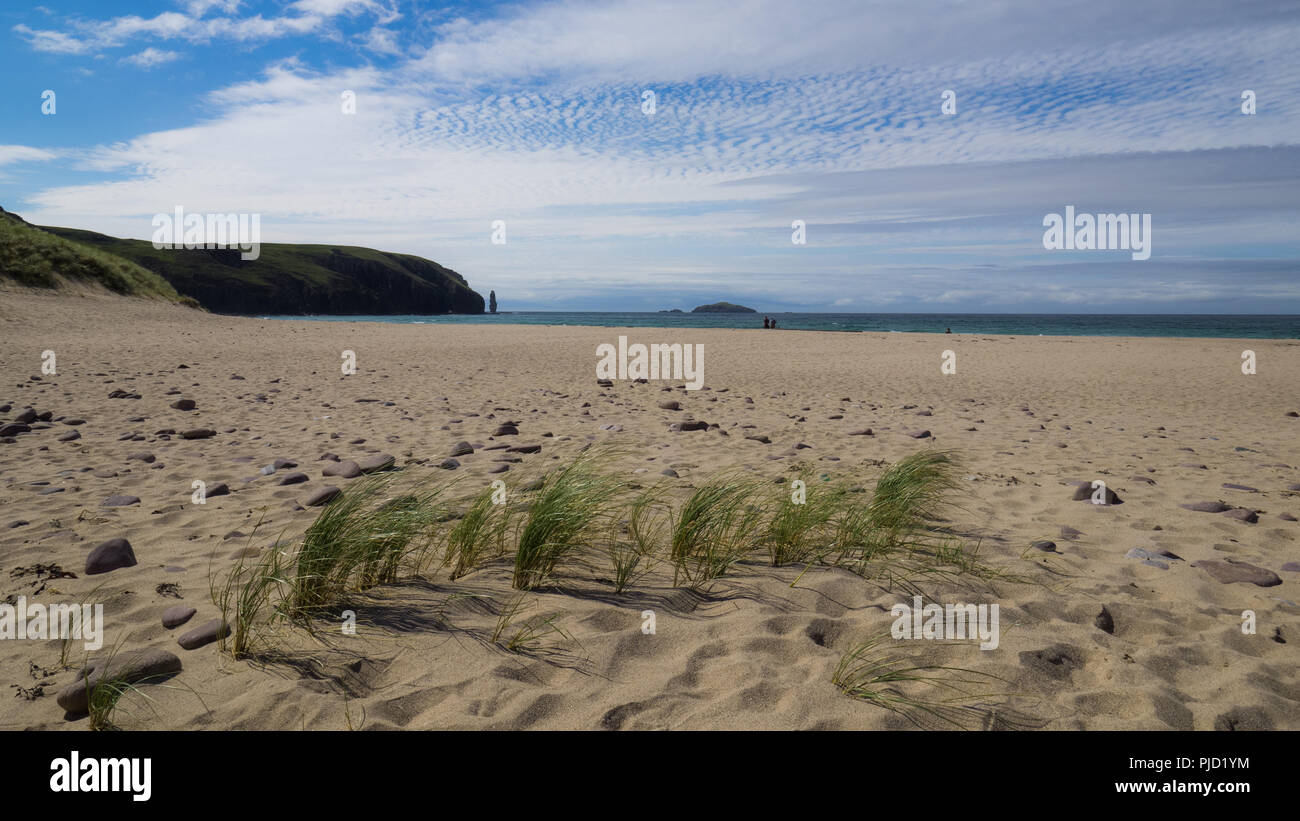 Grass on sandy terrain at Sandwood Bay beach, northern Scotland Stock ...