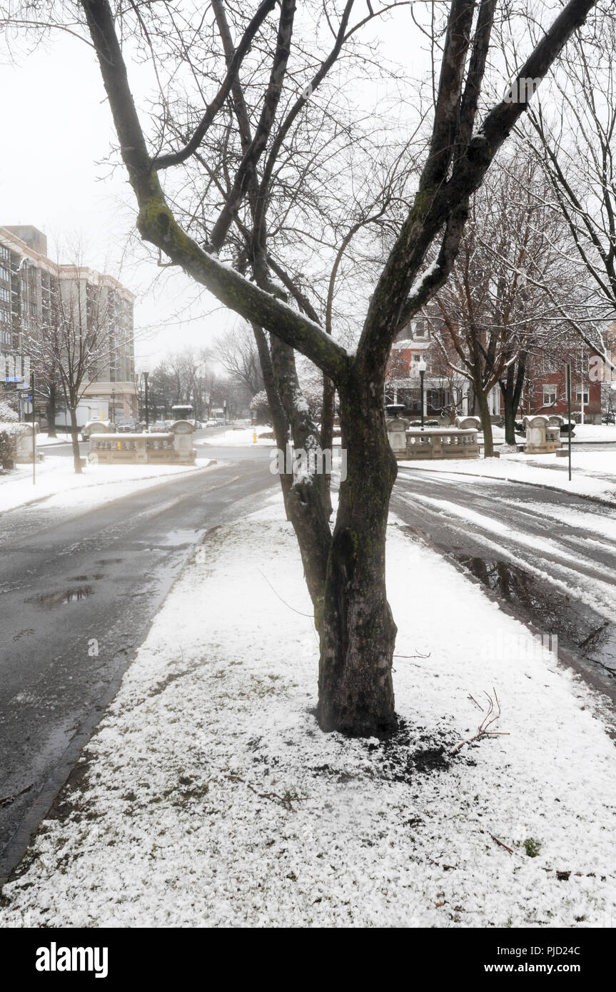 Rochester, New York USA streetscape in the winter Stock Photo - Alamy